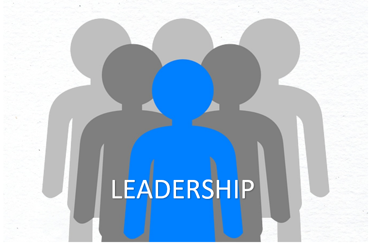 Councillor Development Framework: Leader | My Website